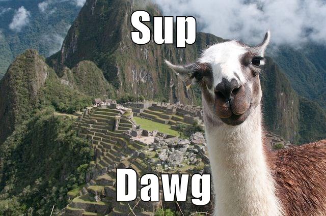 Sup Dawg - Animal Comedy - Animal Comedy, funny animals, animal gifs