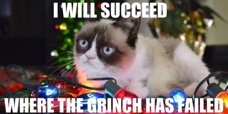 Grumpy Cat Winter Memes