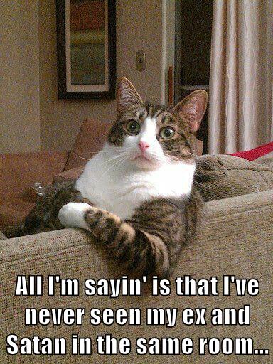 Lolcats - satan - LOL at Funny Cat Memes - Funny cat pictures with ...