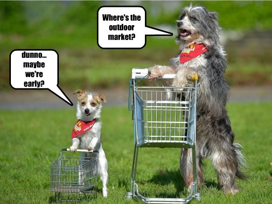 Unmet Expectations - I Has A Hotdog - Dog Pictures - Funny pictures of ...