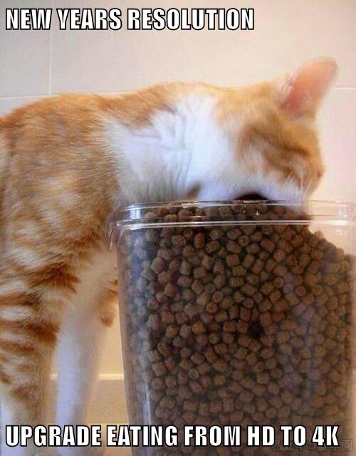 NEW YEARS RESOLUTION UPGRADE EATING FROM HD TO 4K - Lolcats - lol | cat ...