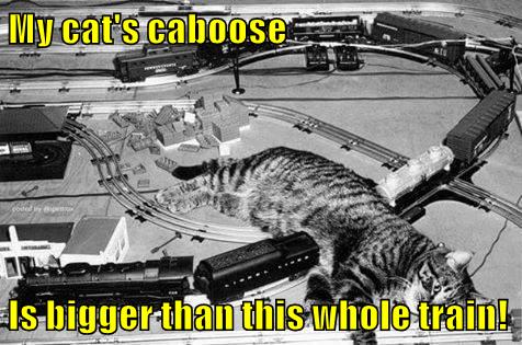 Lolcats - train - LOL at Funny Cat Memes - Funny cat pictures with ...
