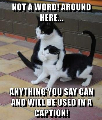 Lolcats - silent - LOL at Funny Cat Memes - Funny cat pictures with ...