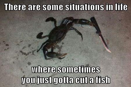 There are some situations in life where sometimes you just gotta cut a ...
