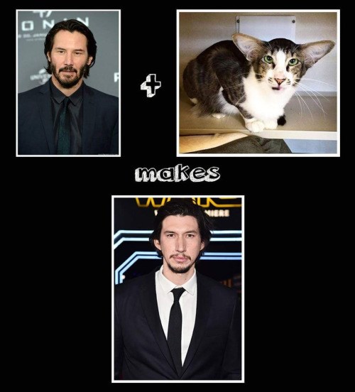 Kylo Ren's Real Origin Story - Memebase - Funny Memes