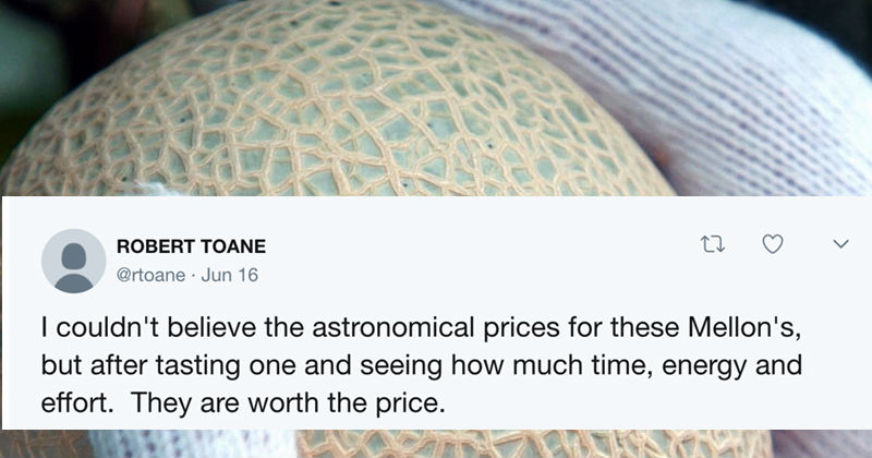 Internet Reacts To Insanely Expensive Japanese Melons - FAIL Blog ...