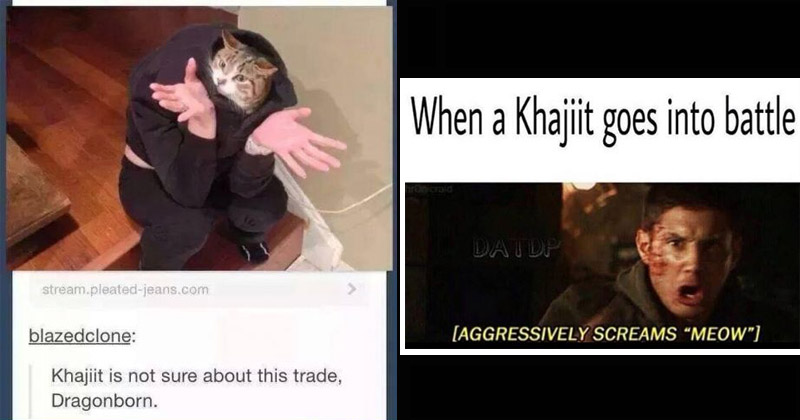 17 Khajiit Memes For Enthusiasts Of 'The Elder Scrolls' - Memebase ...