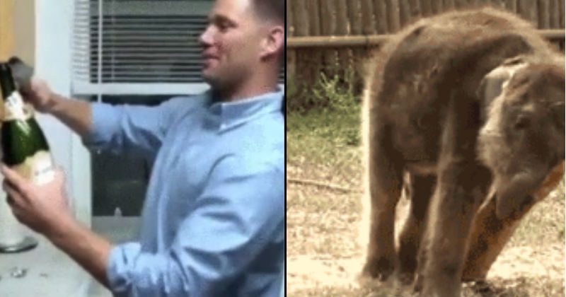 10 Attempts That Landed in Failure - FAIL Blog - Funny Fails