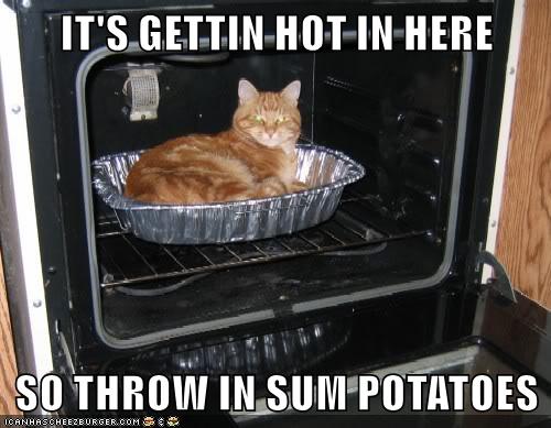 Lolcats - oven - LOL at Funny Cat Memes - Funny cat pictures with words ...