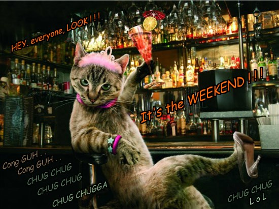 Have a GREAT Weekend, Everyone! - Lolcats - lol | cat memes | funny ...