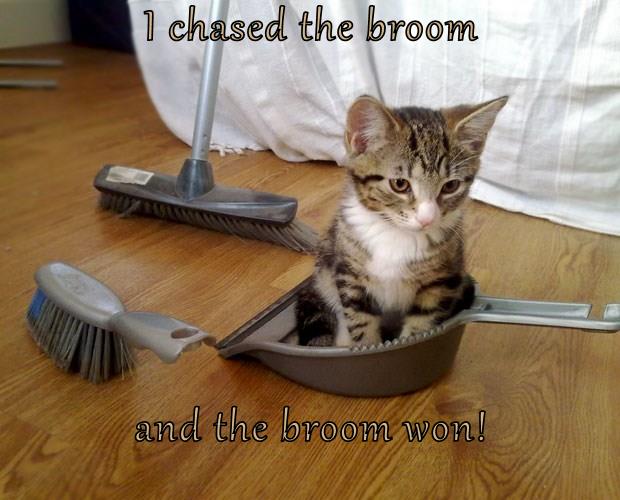 That's a Big Hairball! - Lolcats - lol | cat memes | funny cats | funny ...