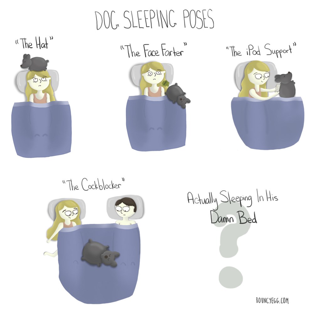 It's Best to Just Let Sleeping Dogs Lie - Web Comics - 4koma comic ...