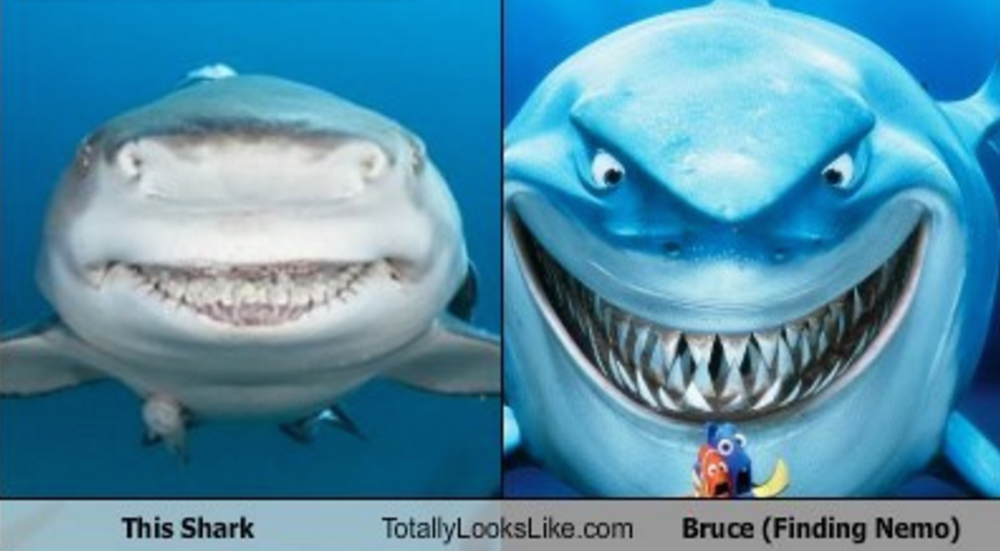 Memebase - finding nemo - Page 2 - All Your Memes In Our Base - Funny ...