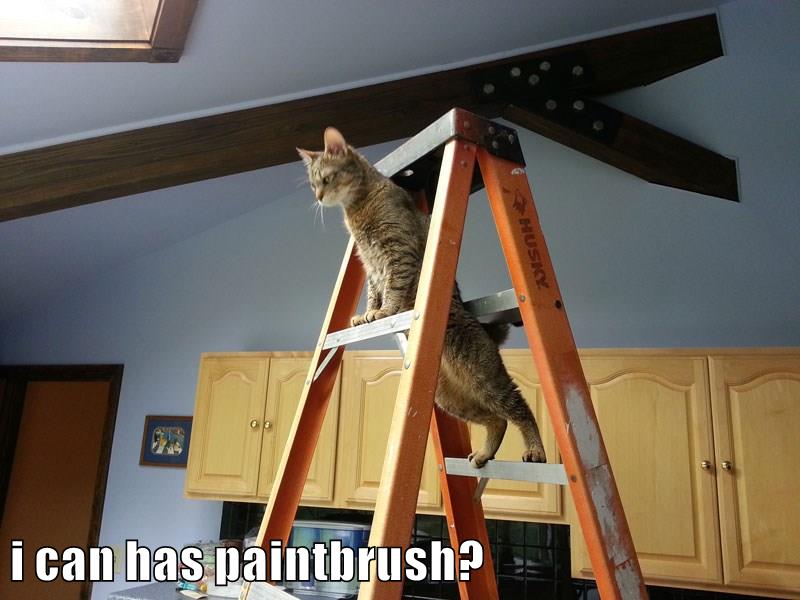 Lolcats - paint - LOL at Funny Cat Memes - Funny cat pictures with ...