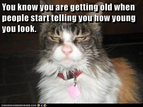 Ain't It the Truth! - Lolcats - lol | cat memes | funny cats | funny ...