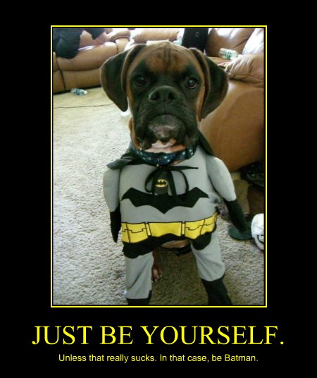 I Has A Hotdog - batman - Funny Dog Pictures | Dog Memes | Puppy ...