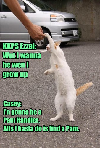 How Hard Can Pam Be to Handle? - Lolcats - lol | cat memes | funny cats ...