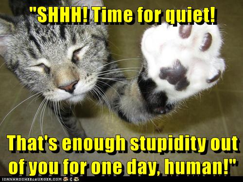 Lolcats - shh - LOL at Funny Cat Memes - Funny cat pictures with words ...