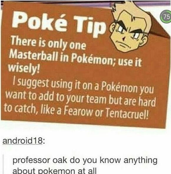Pokémemes - master ball - Pokemon Memes - Pokémon, Pokémon GO - Cheezburger