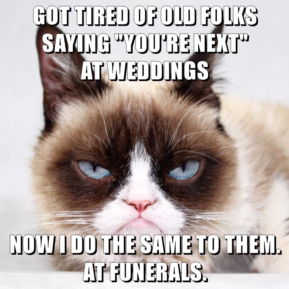 Grumpy Cat Tired Meme