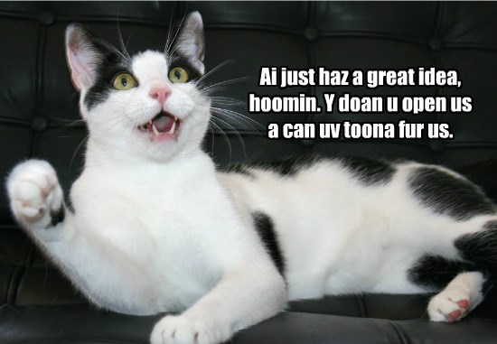 Kitteh's Great Idea - Lolcats - lol | cat memes | funny cats | funny ...