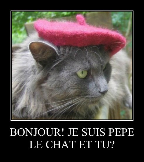 French Cat Memes