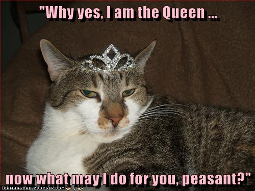 Lolcats - queen - LOL at Funny Cat Memes - Funny cat pictures with ...