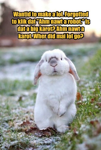 So Many Questions, So Few Answers... - Animal Comedy - Animal Comedy ...