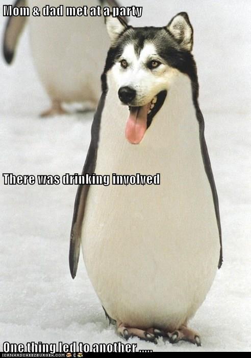 Mom & dad - Animal Comedy - Animal Comedy, funny animals, animal gifs