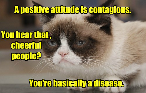 Lolcats - positive - LOL at Funny Cat Memes - Funny cat pictures with ...