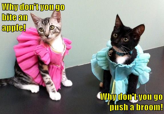 Lolcats - princess - LOL at Funny Cat Memes - Funny cat pictures with ...