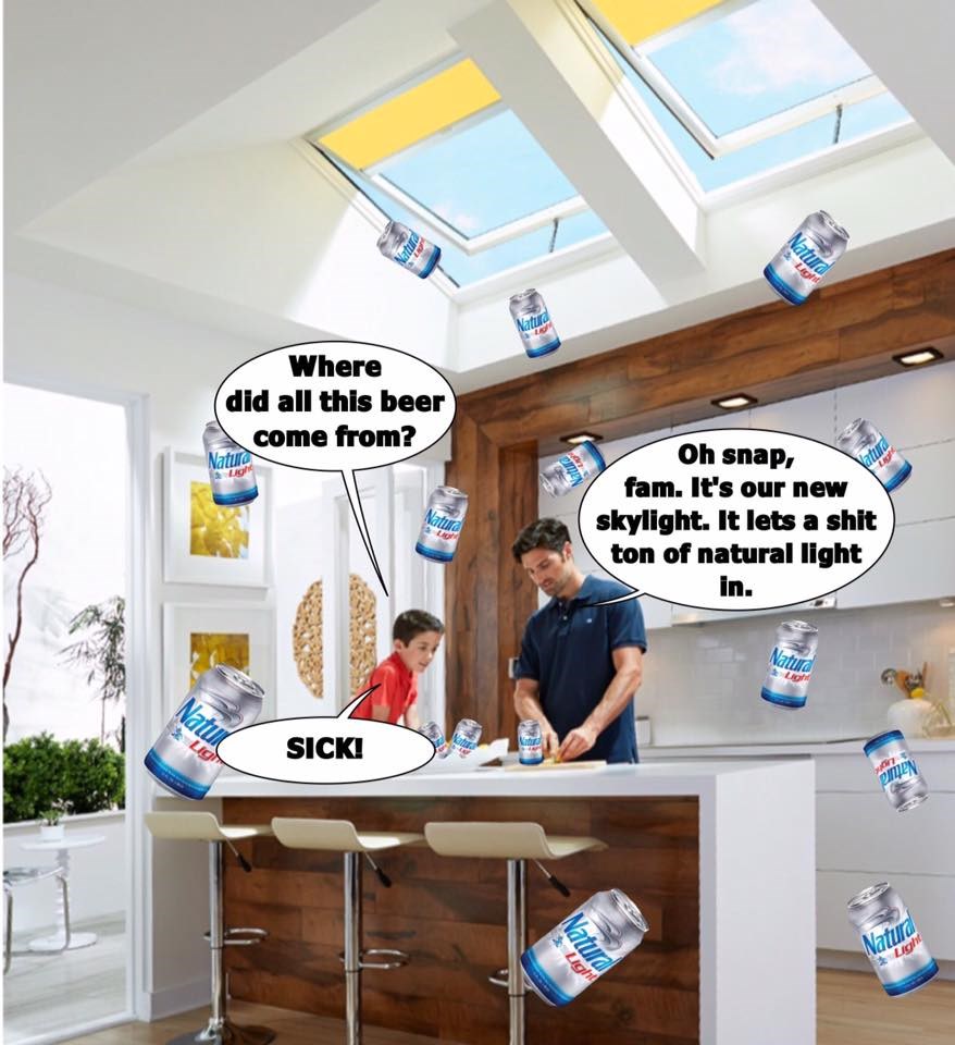 New Skylight - Puns - Pun Pictures