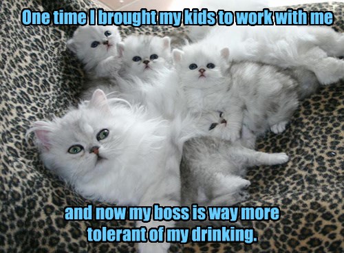 Lolcats - mom - Page 2 - LOL at Funny Cat Memes - Funny cat pictures ...