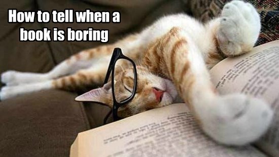 Lolcats - book - LOL at Funny Cat Memes - Funny cat pictures with words ...