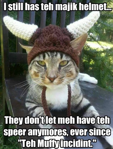 Lolcats - knitting - LOL at Funny Cat Memes - Funny cat pictures with ...
