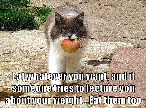 Lolcats - whatever - LOL at Funny Cat Memes - Funny cat pictures with ...