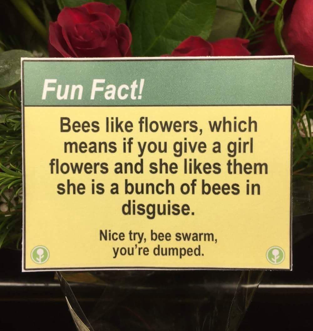Oh, Bee-Have - Memebase - Funny Memes