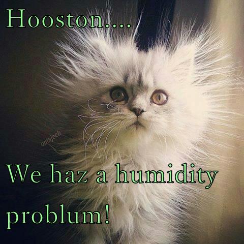 Funny Humidity