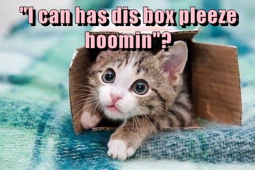 It's Just My Size! - Lolcats - lol | cat memes | funny cats | funny cat ...