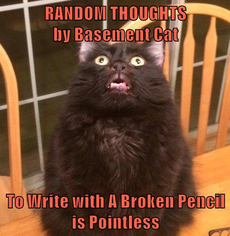 Lolcats - broken - LOL at Funny Cat Memes - Funny cat pictures with ...