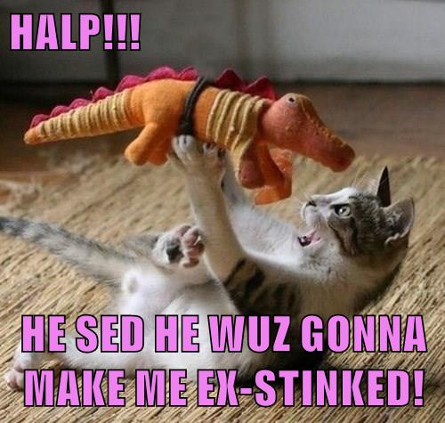 Lolcats - dinosaur - LOL at Funny Cat Memes - Funny cat pictures with ...