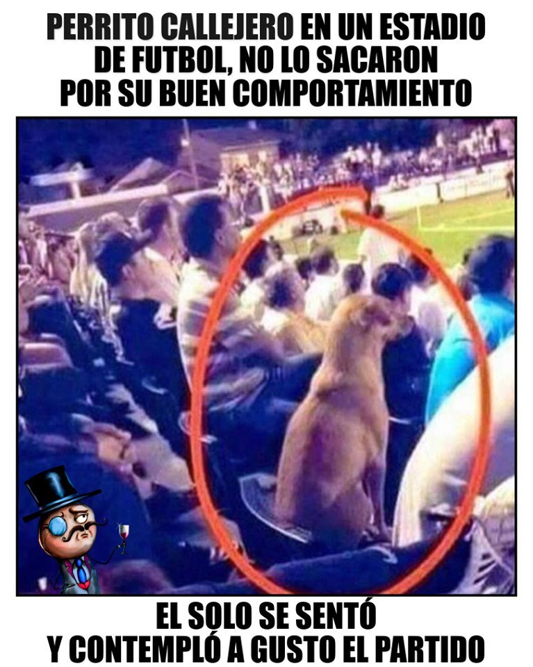 Así si perrito - Loquillo