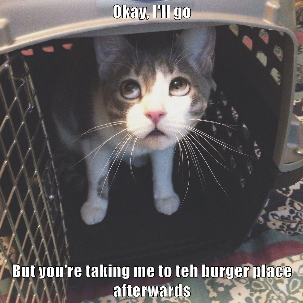 Lolcats - cage - LOL at Funny Cat Memes - Funny cat pictures with words ...