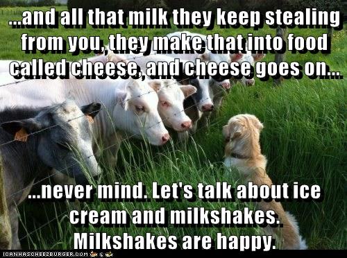 I Has A Hotdog - ice cream - Funny Dog Pictures | Dog Memes | Puppy ...