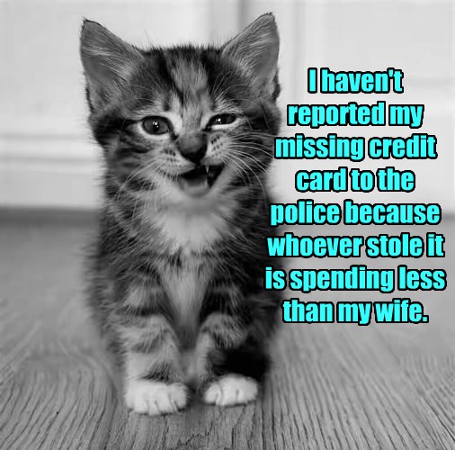 Lolcats - credit card - LOL at Funny Cat Memes - Funny cat pictures ...
