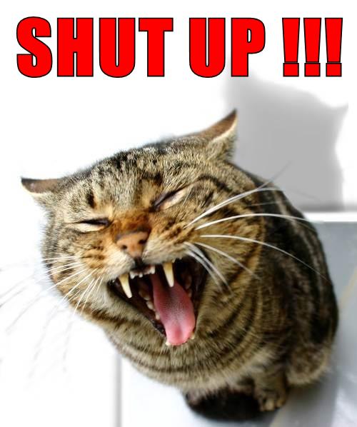 SHUT UP !!! - Lolcats - lol | cat memes | funny cats | funny cat ...