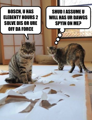 I should retire - Lolcats - lol | cat memes | funny cats | funny cat ...