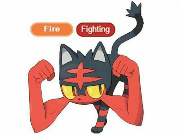 Funny Pokemon Fight - Caseforma