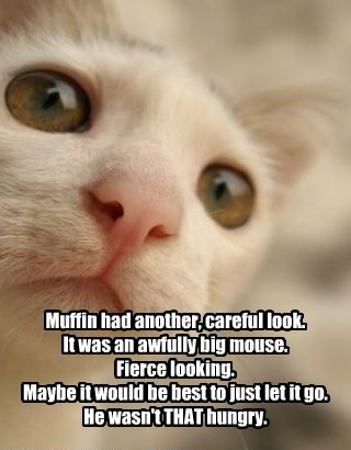 Lolcats - fierce - LOL at Funny Cat Memes - Funny cat pictures with ...