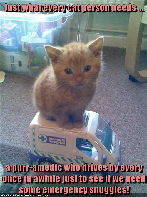 Lolcats - emergency - LOL at Funny Cat Memes - Funny cat pictures with ...